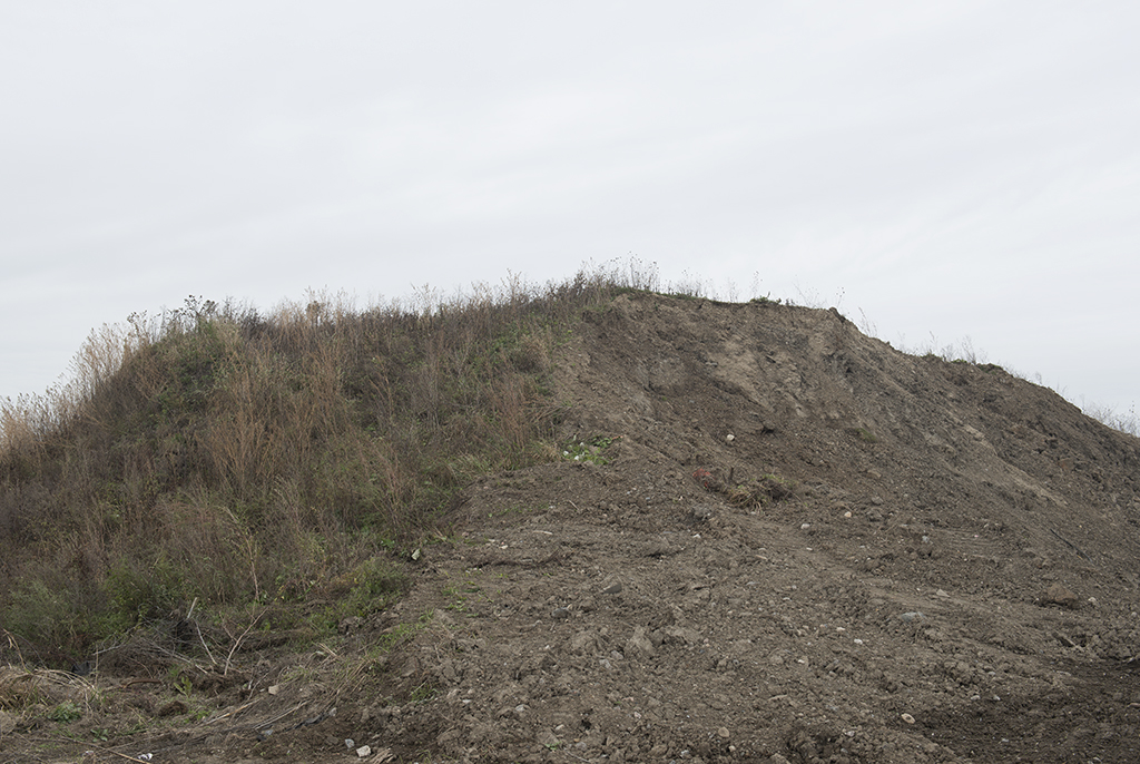 Dirt Piles | Lisa Hirmer